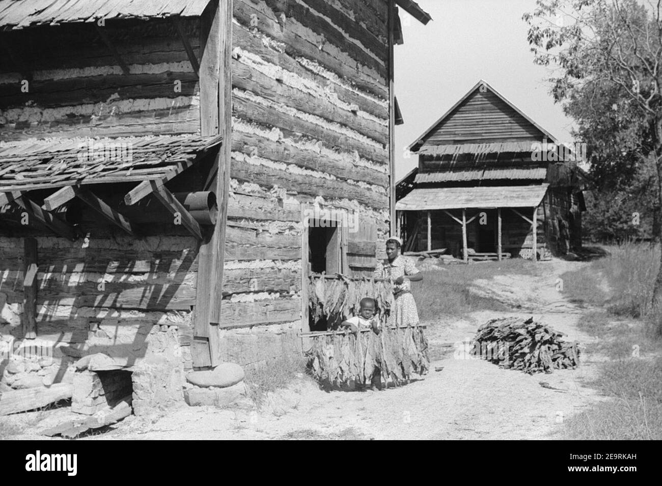 Mrs. Compton and her four year old son Billy taking sticks of tobacco ...
