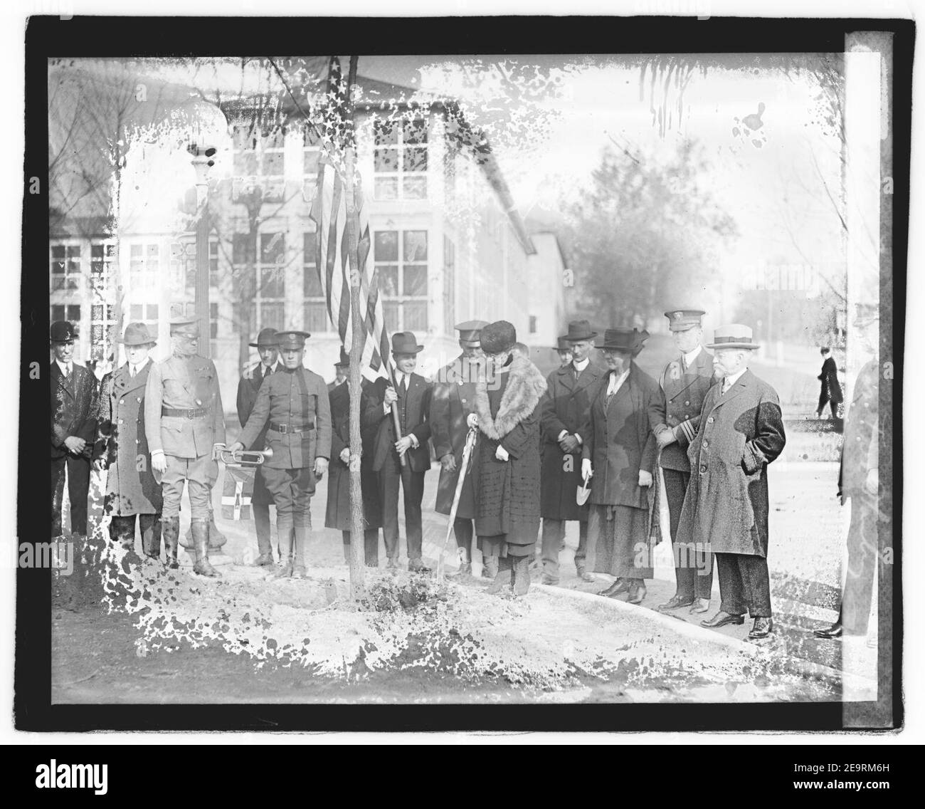 Mrs. Harding at tree planting Stock Photo - Alamy