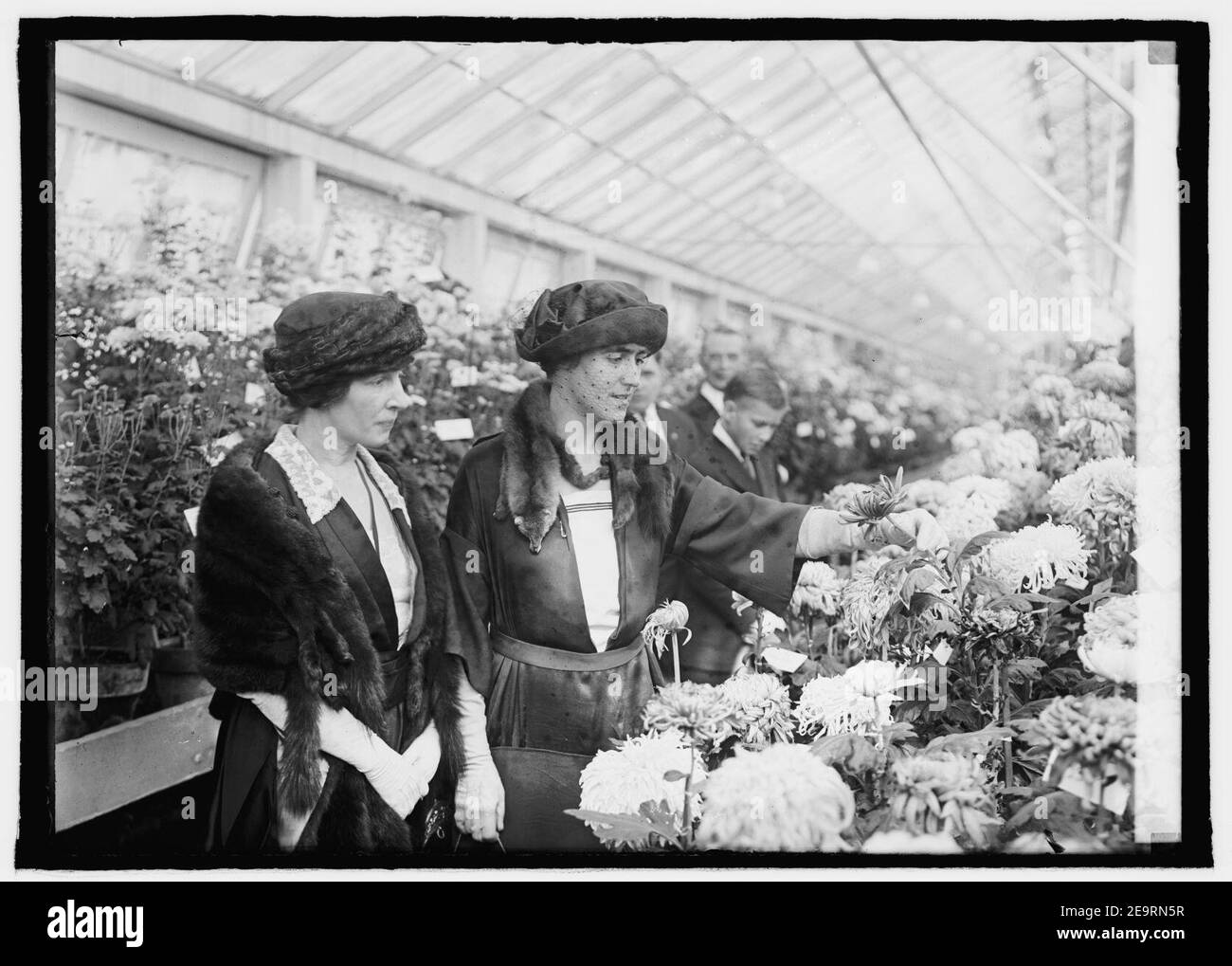 Mrs meredith hi-res stock photography and images - Alamy