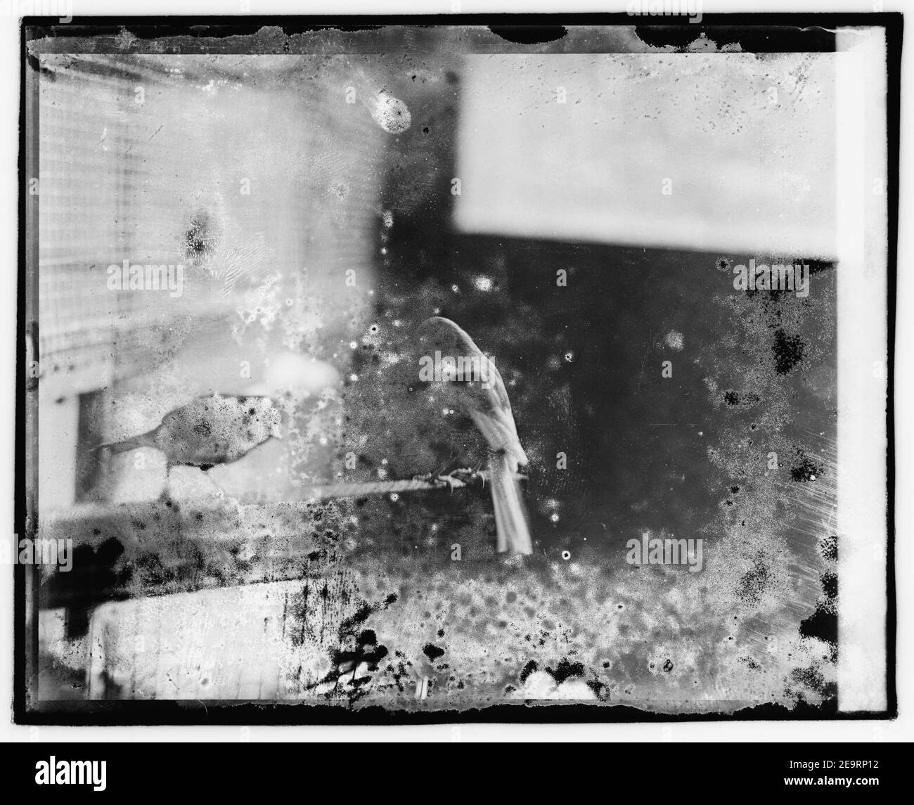 Mrs thompson hi-res stock photography and images - Alamy