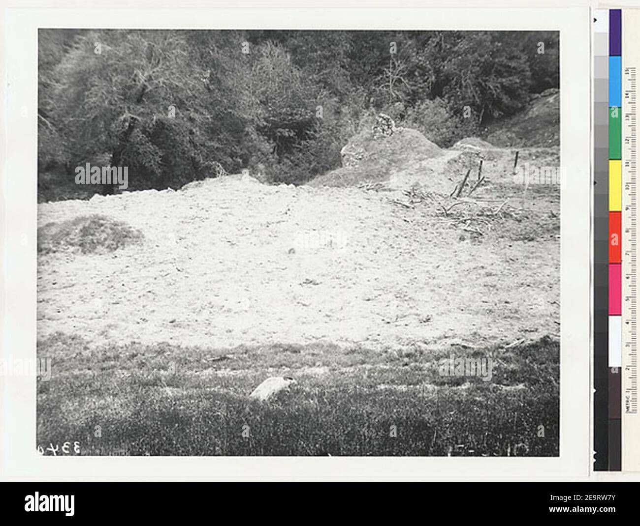 Mud Springs - 2 Stock Photo - Alamy