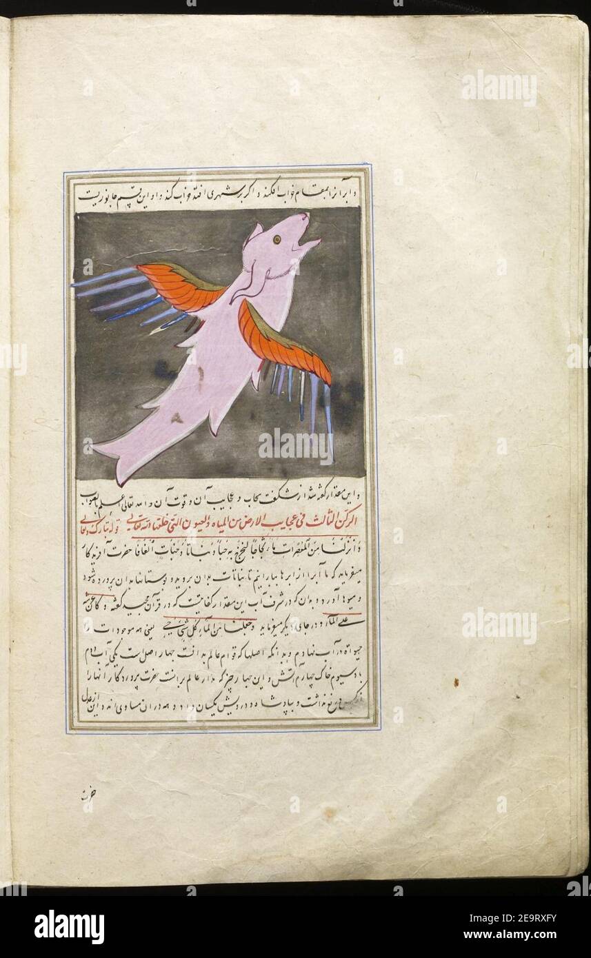 Muhammad ibn Mahmud Tusi - A Large, Winged Fish Stock Photo - Alamy