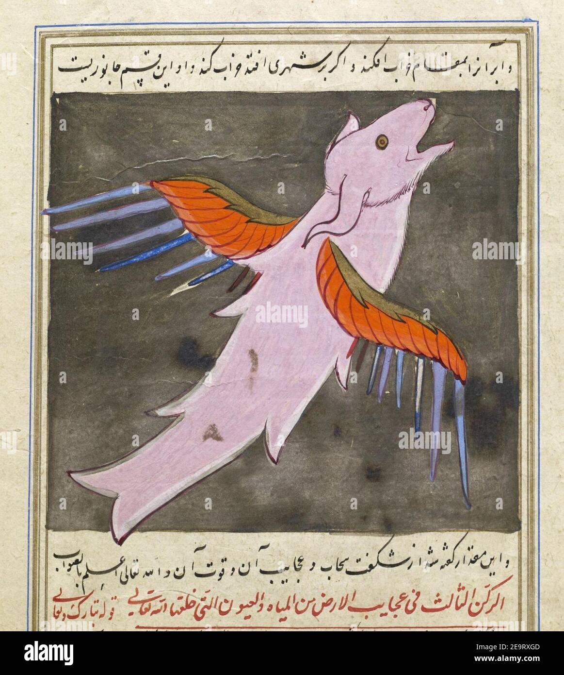 Large winged fish hi-res stock photography and images - Alamy