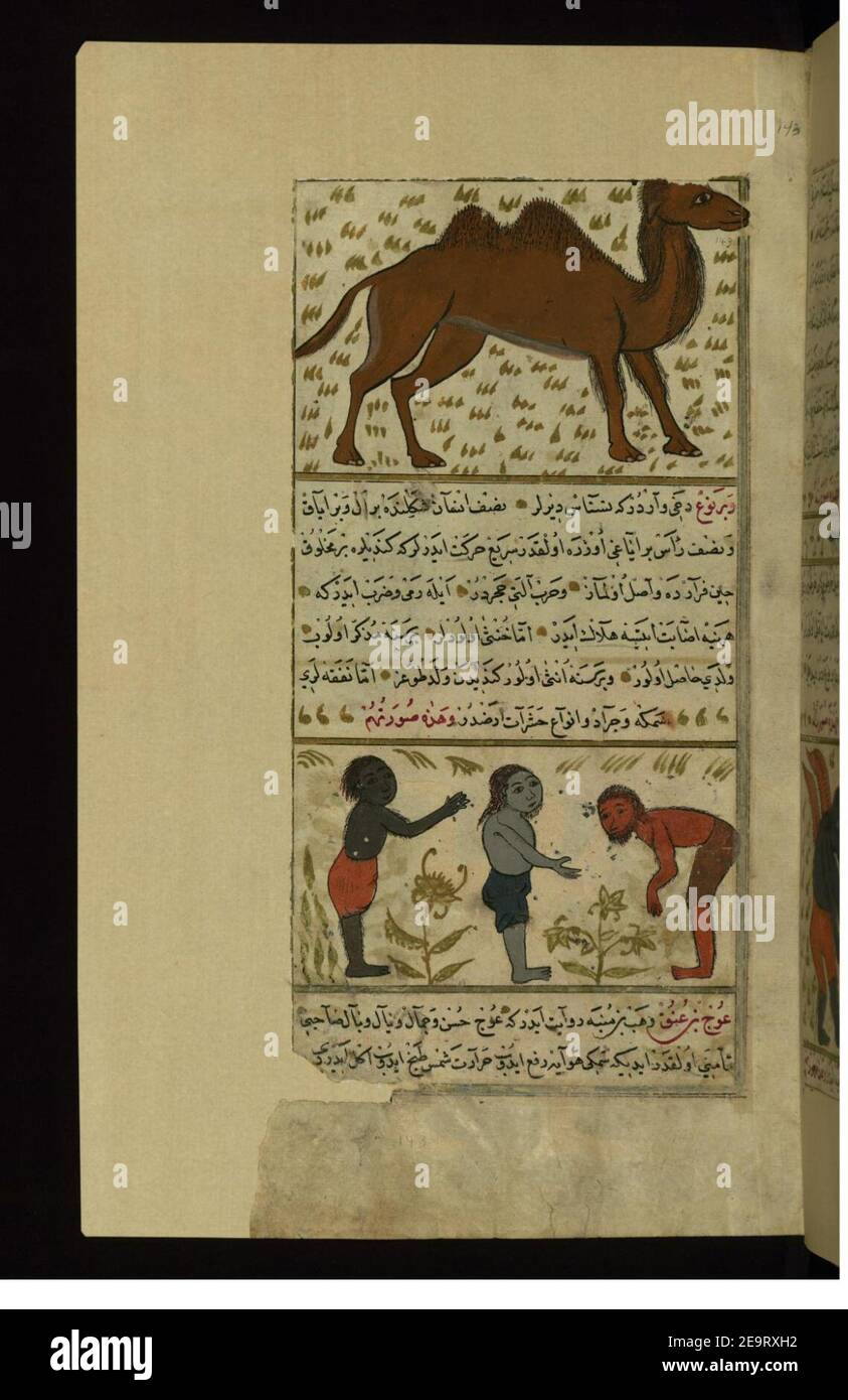 Muhammad ibn Muhammad Shakir Ruzmah-'i Nathani - A Camel and Three ...