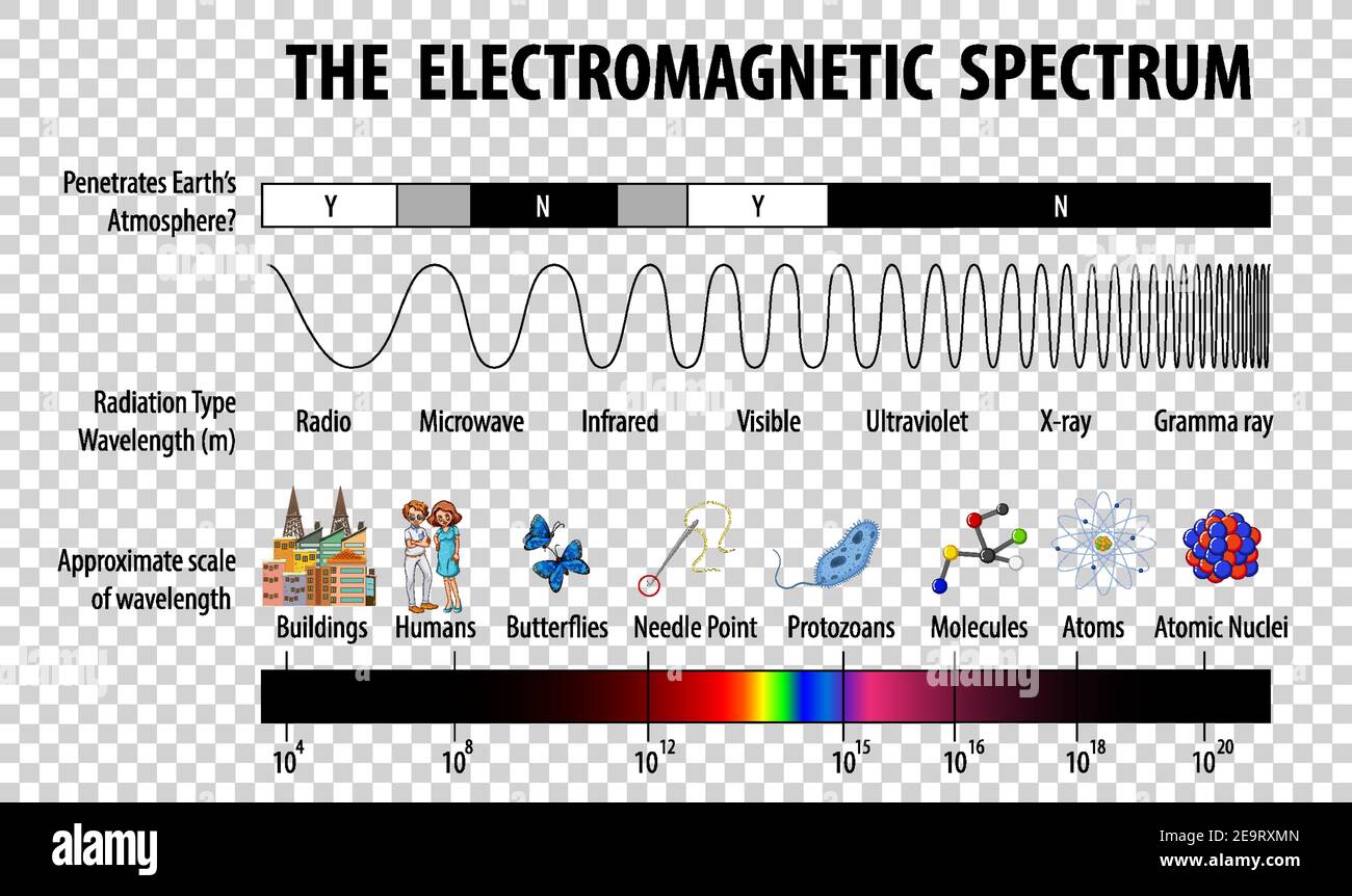 Science Electromagnetic Spectrum diagram on transparent background ... Science Electromagnetic Spectrum diagram on transparent background ...