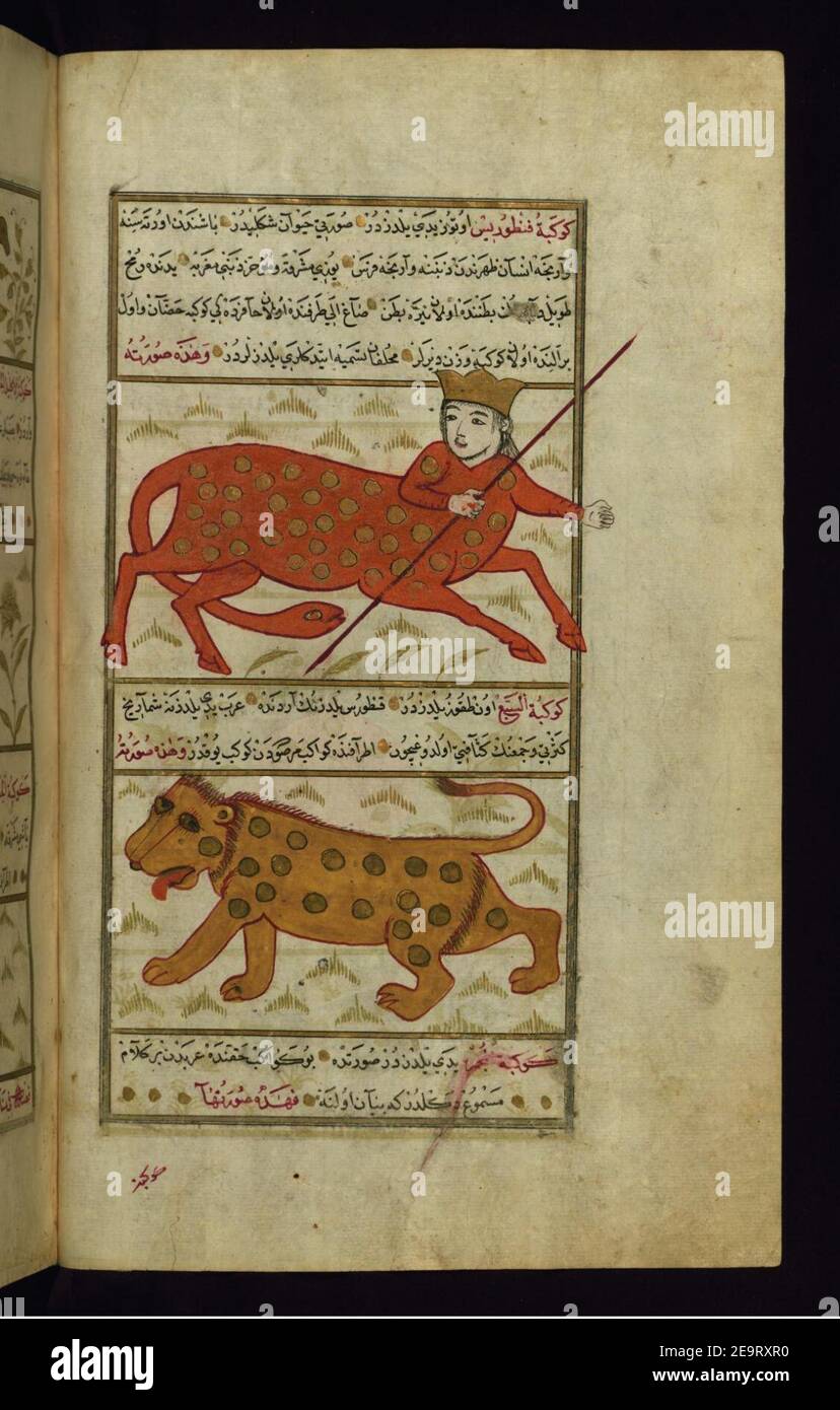 Lupus with centaurus hi-res stock photography and images - Alamy