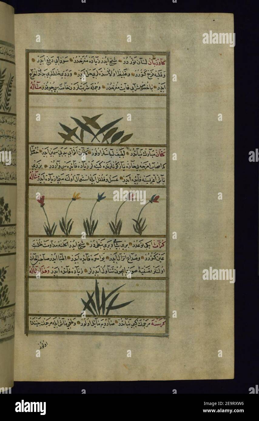 Muhammad ibn Muhammad Shakir Ruzmah-'i Nathani - Ox Tongue, Flax, and ...