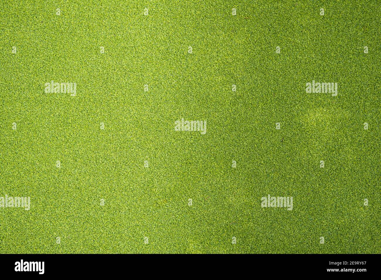 green grass with shadow sun shade fade for nature background Stock ...