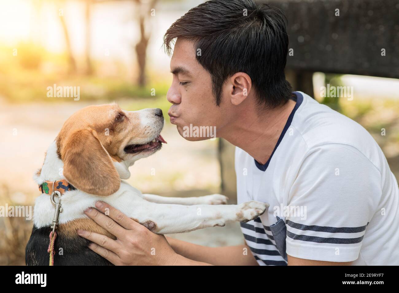 Dog playing with human hi-res stock photography and images - Alamy