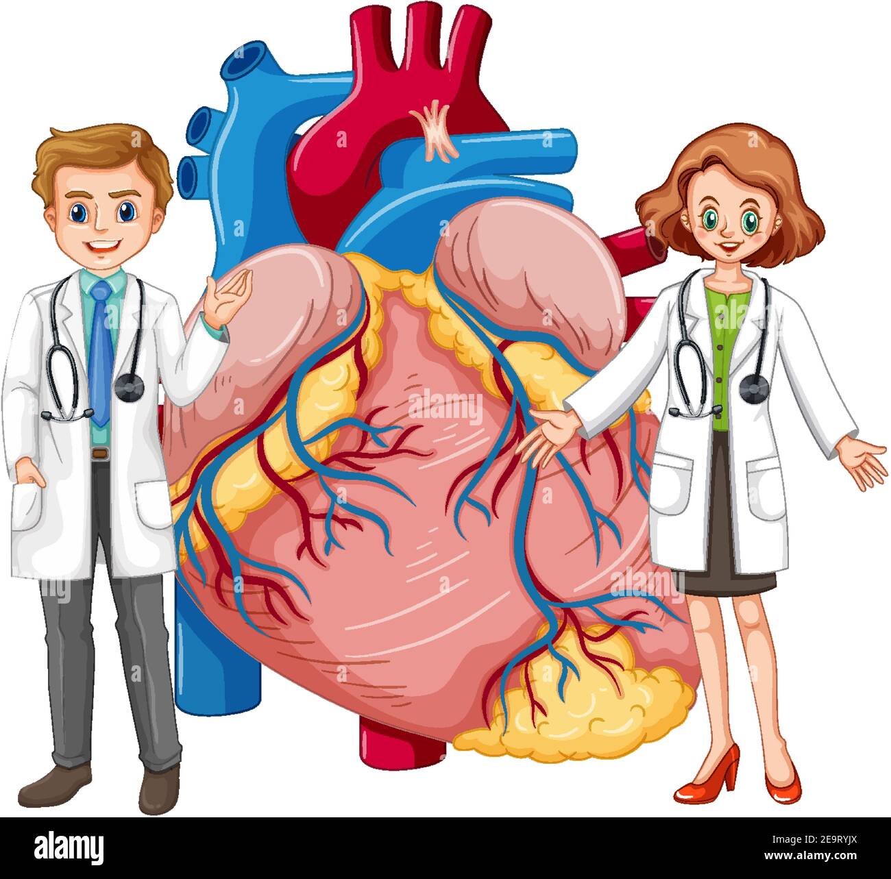Human heart with two doctor cartoon character illustration Stock Vector ...