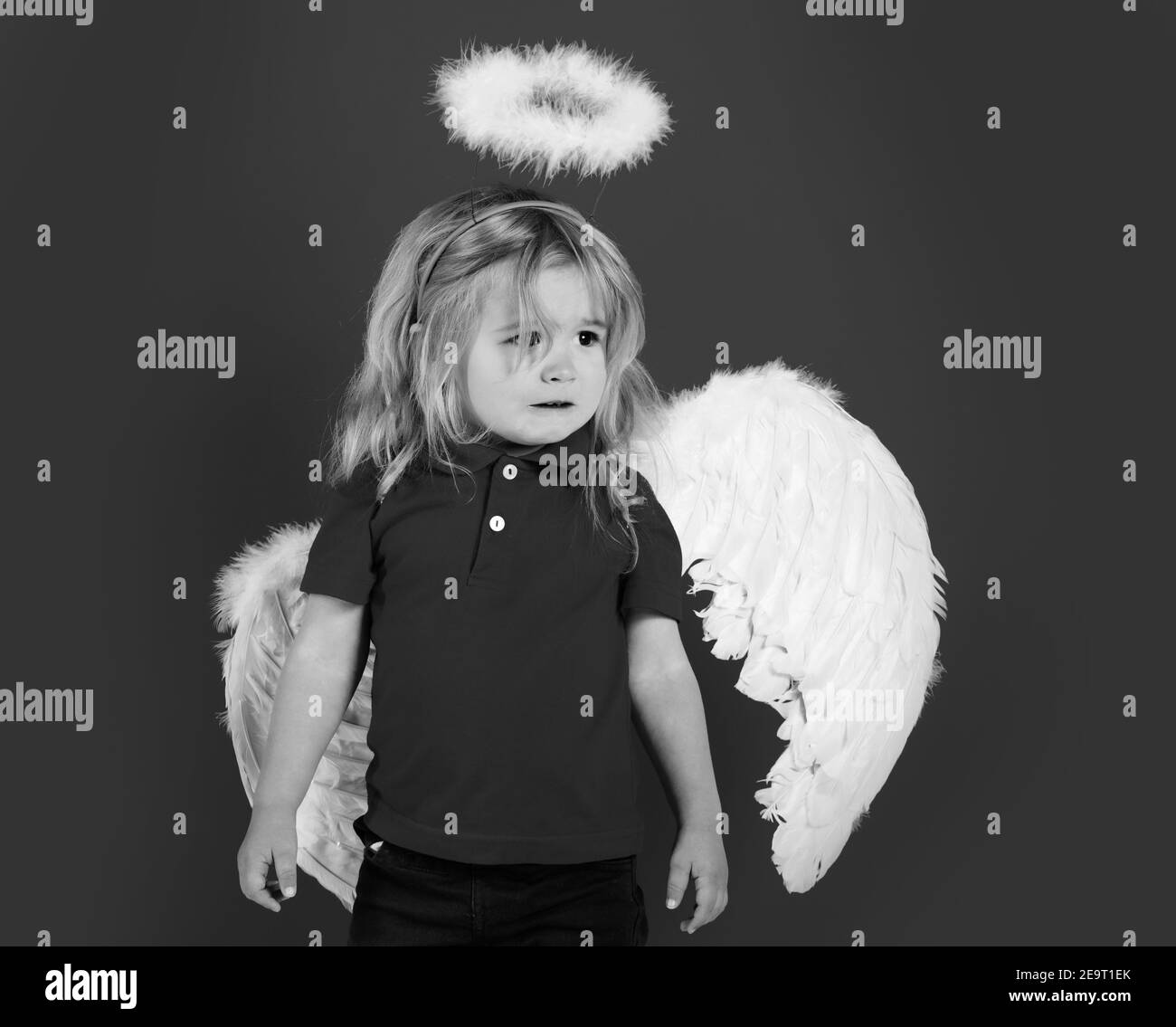 Angel child. Adorable little angel boy with white feather wings and ...