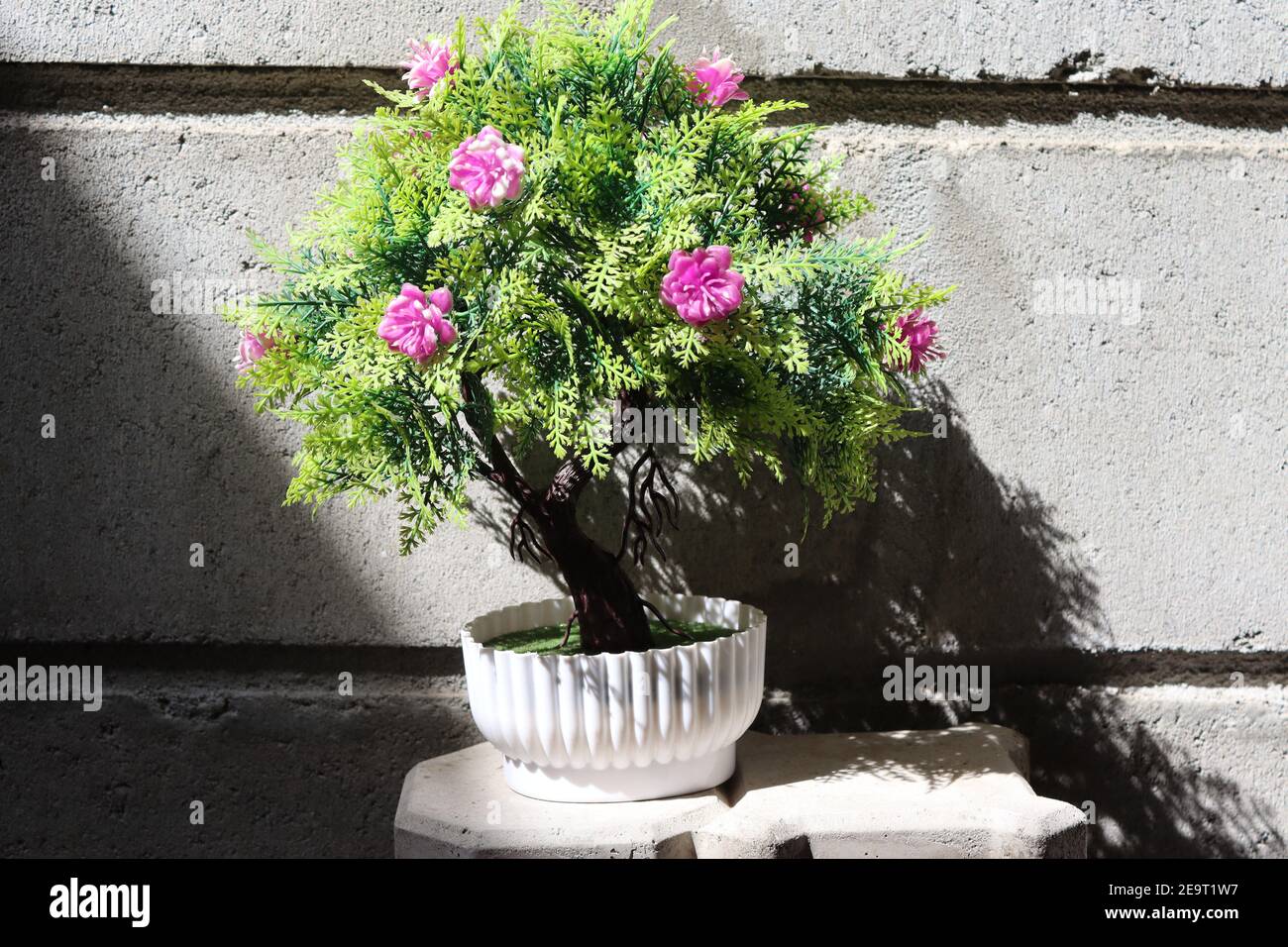 Tiny artificial tree in various action Stock Photo - Alamy