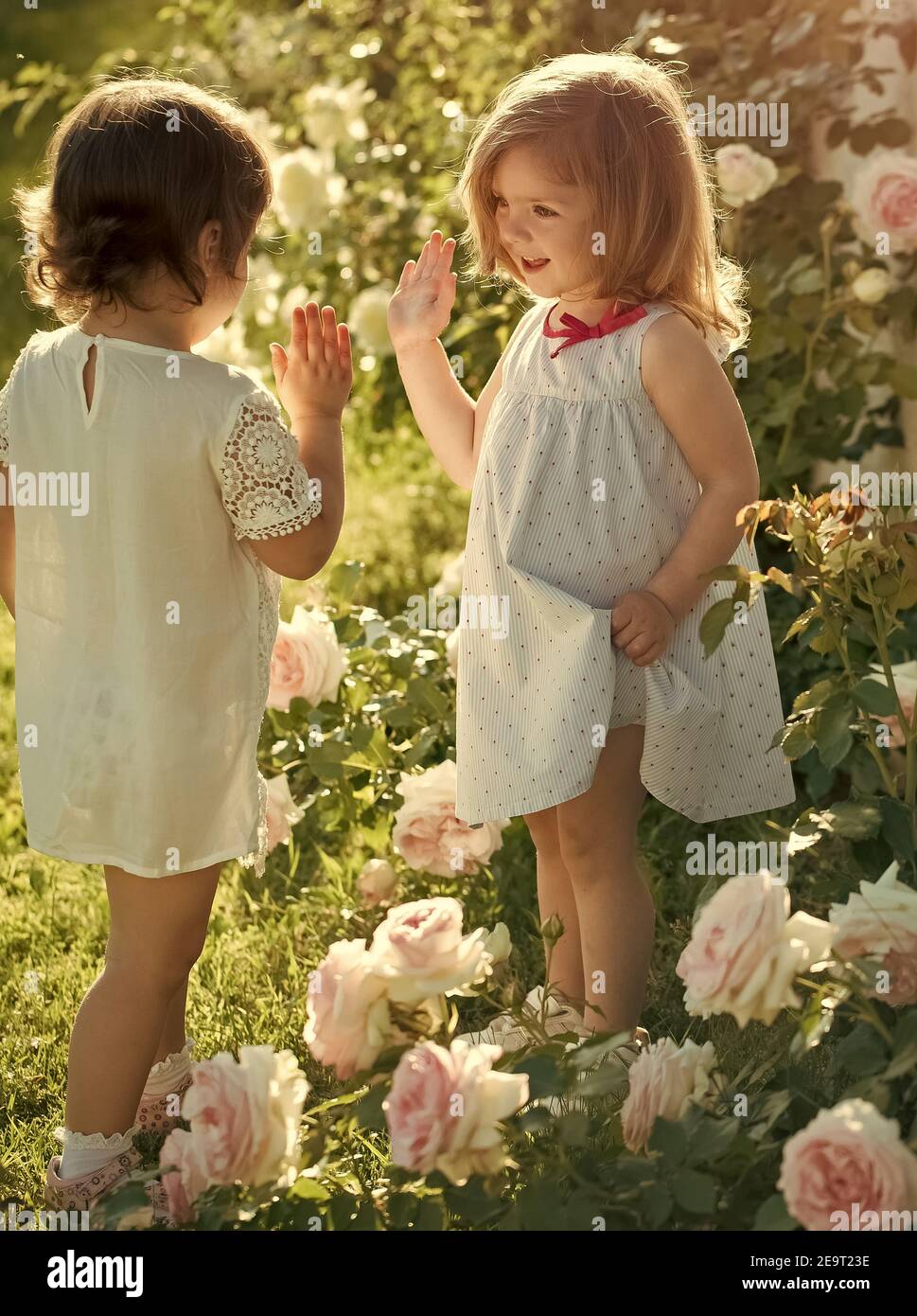 Two girls baby at blossoming rose flowers. Children playing patty cake ...