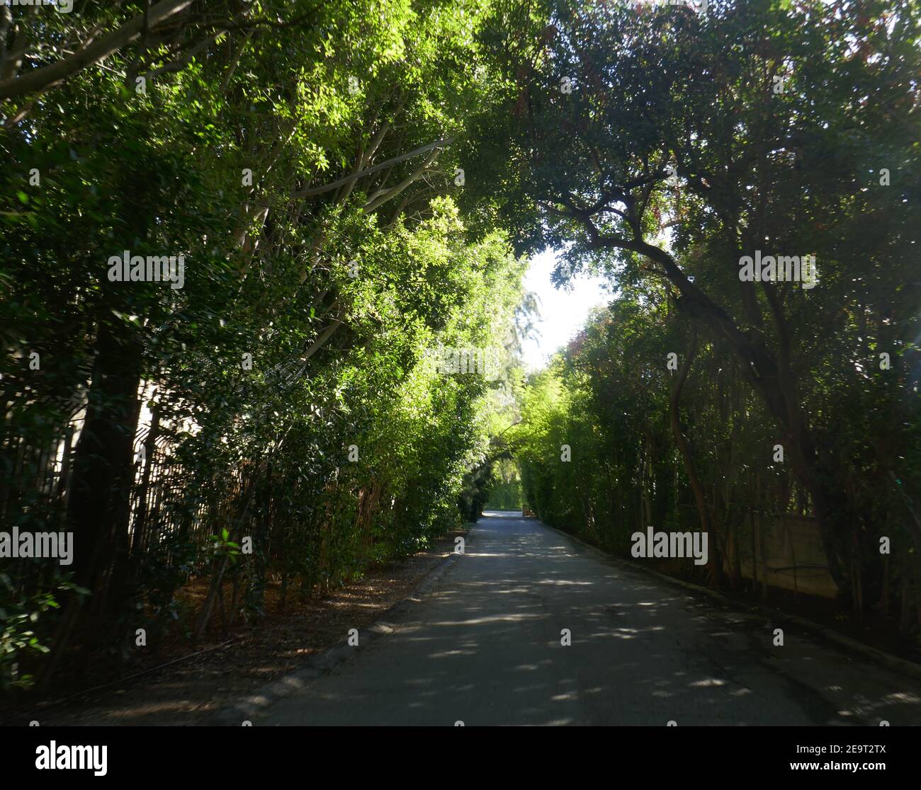 Beverly Hills, California, USA 5th February 2021 A general view of ...