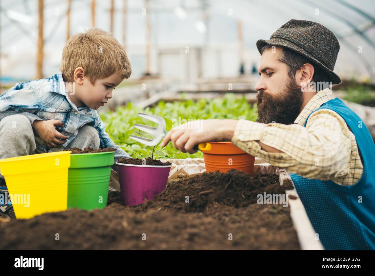 Father helping kid son to plant flower with hand fork. Man teaching his ...