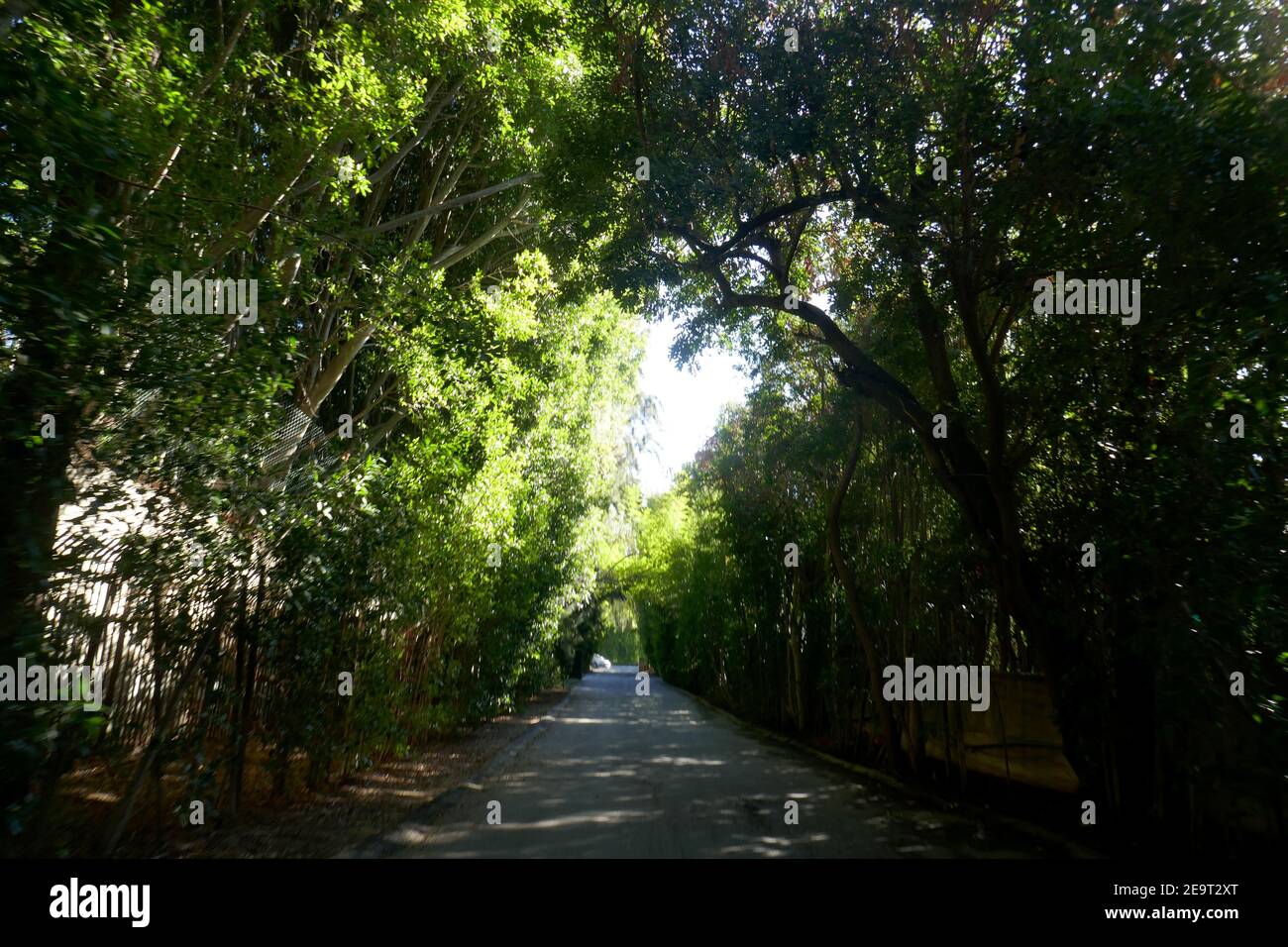 Beverly Hills, California, USA 5th February 2021 A general view of ...