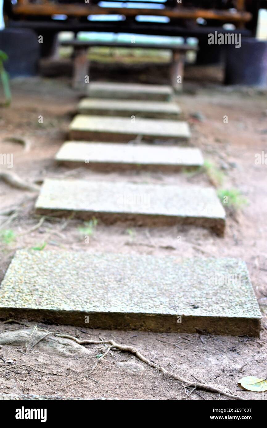 A line of concrete blocks serves as a garden path trail Stock Photo - Alamy
