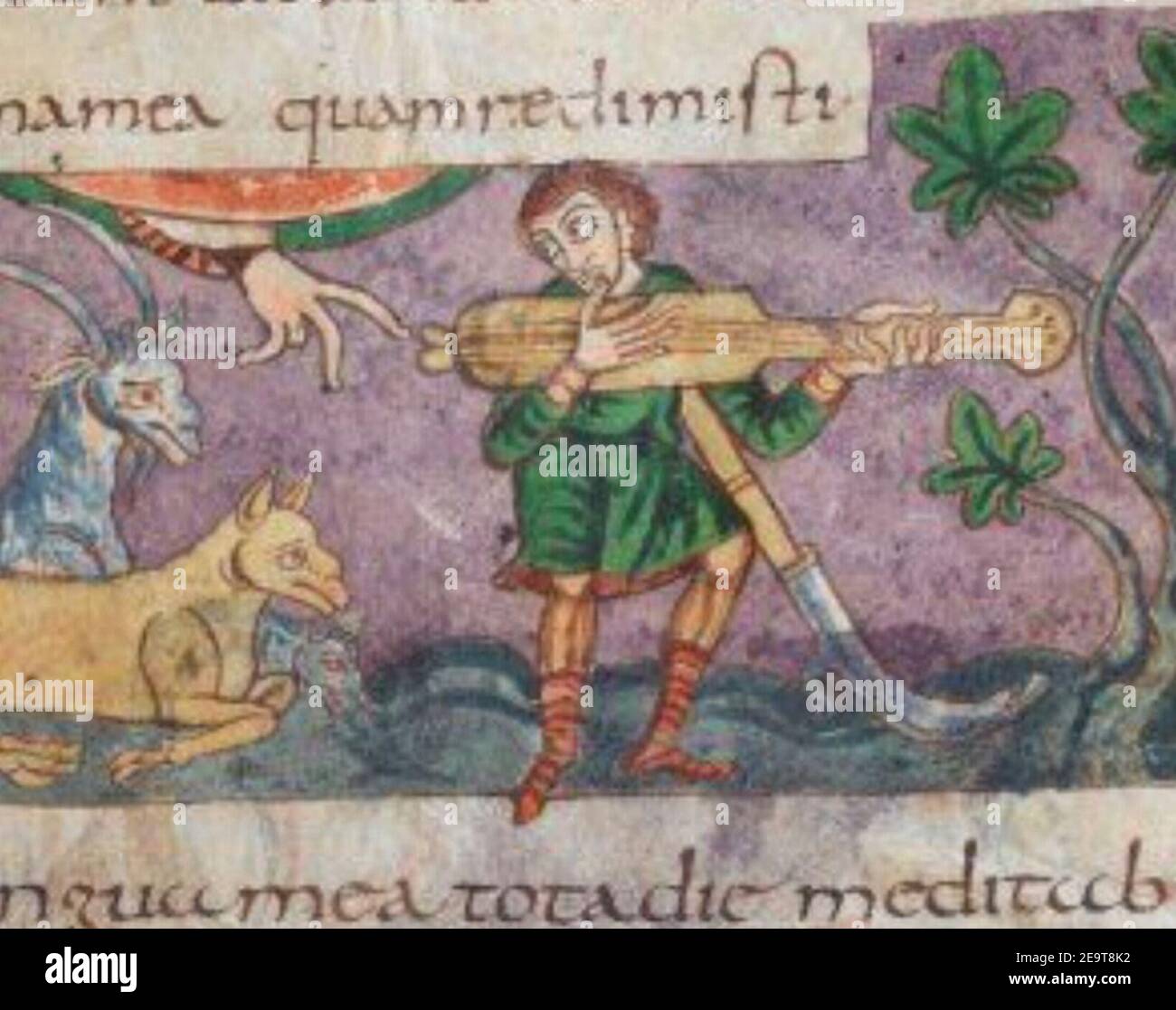 Musician playing a medieval cythara 8 Stock Photo - Alamy