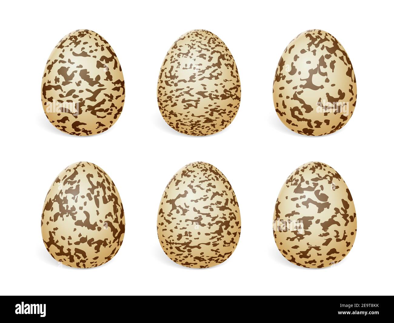 Quail eggs on a white background. Vector illustration Stock Photo - Alamy