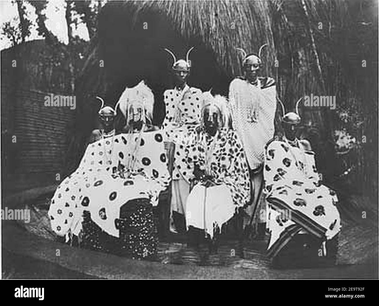 Musinga hi-res stock photography and images - Alamy