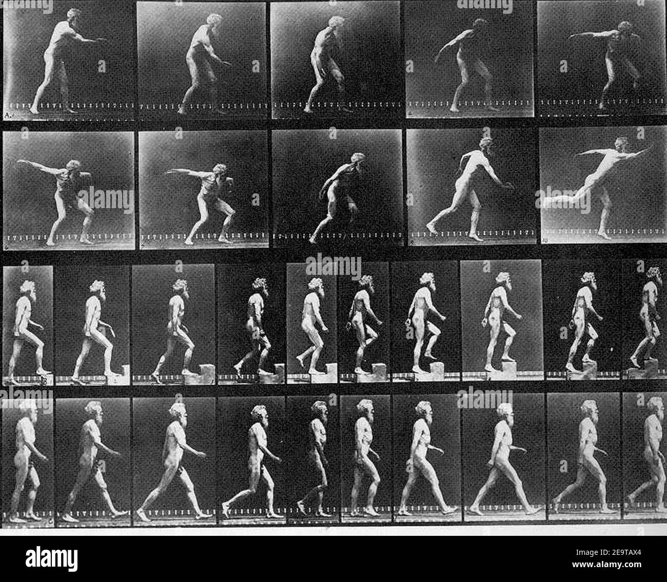 Muybridge disk step walk Stock Photo - Alamy