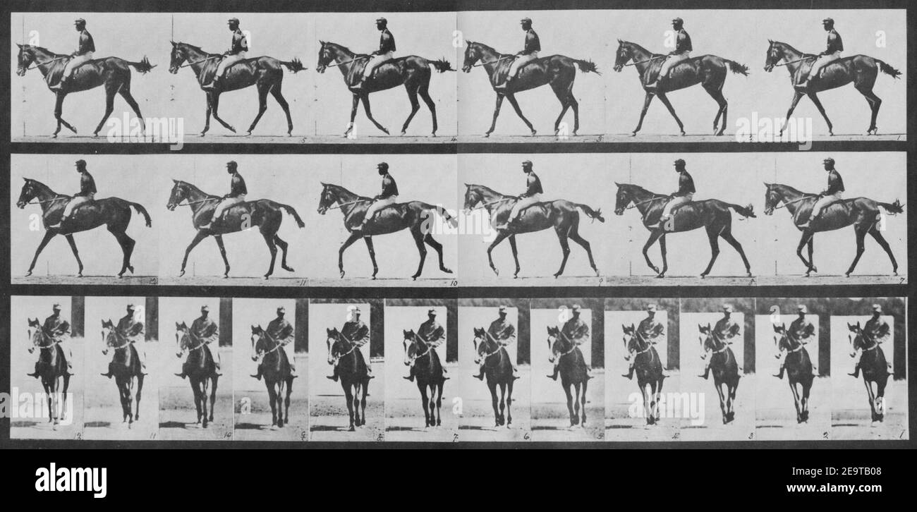 Muybridge, Eadweard - Annie G. mit Jockey (0.44 Sekunden Stock Photo ...