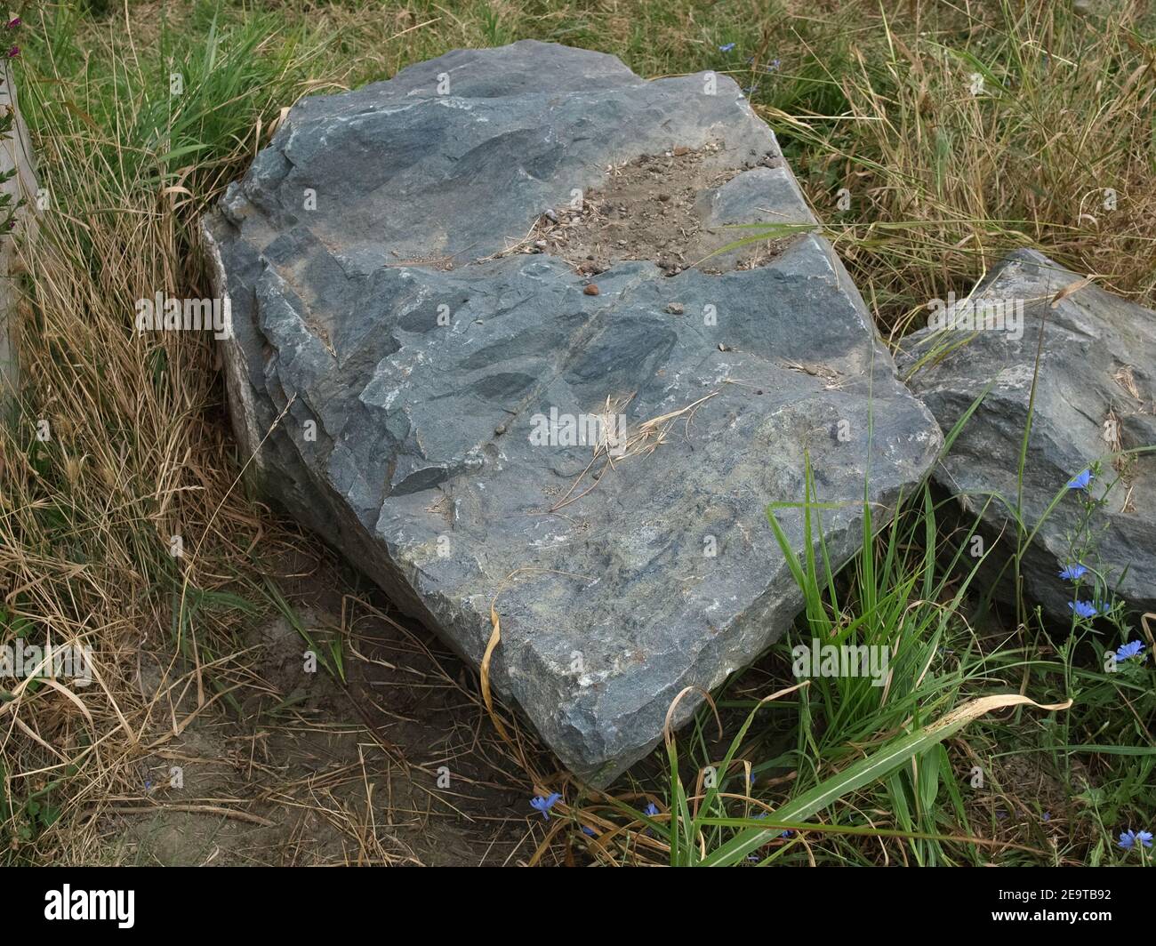 boulder erratic rock in a green meadow Stock Photo - Alamy