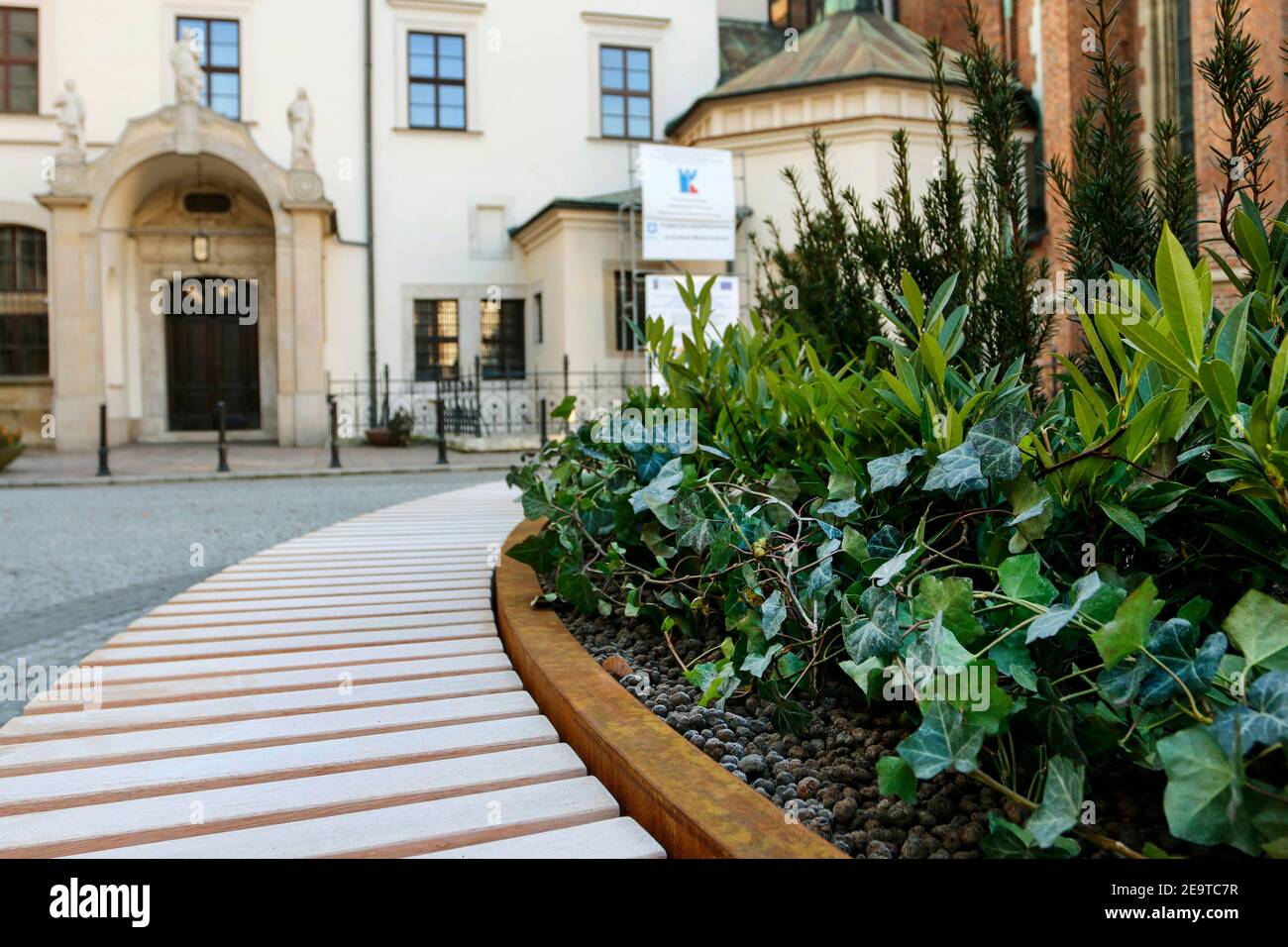 Urban floristic decoration in public space made of ivy and other plants ...