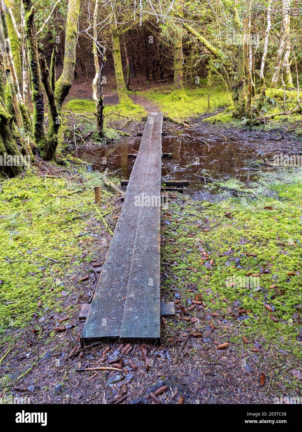 Frosses hi-res stock photography and images - Alamy