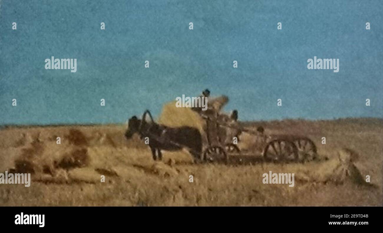 Myasoyedov Gathering the sheaves Stock Photo - Alamy