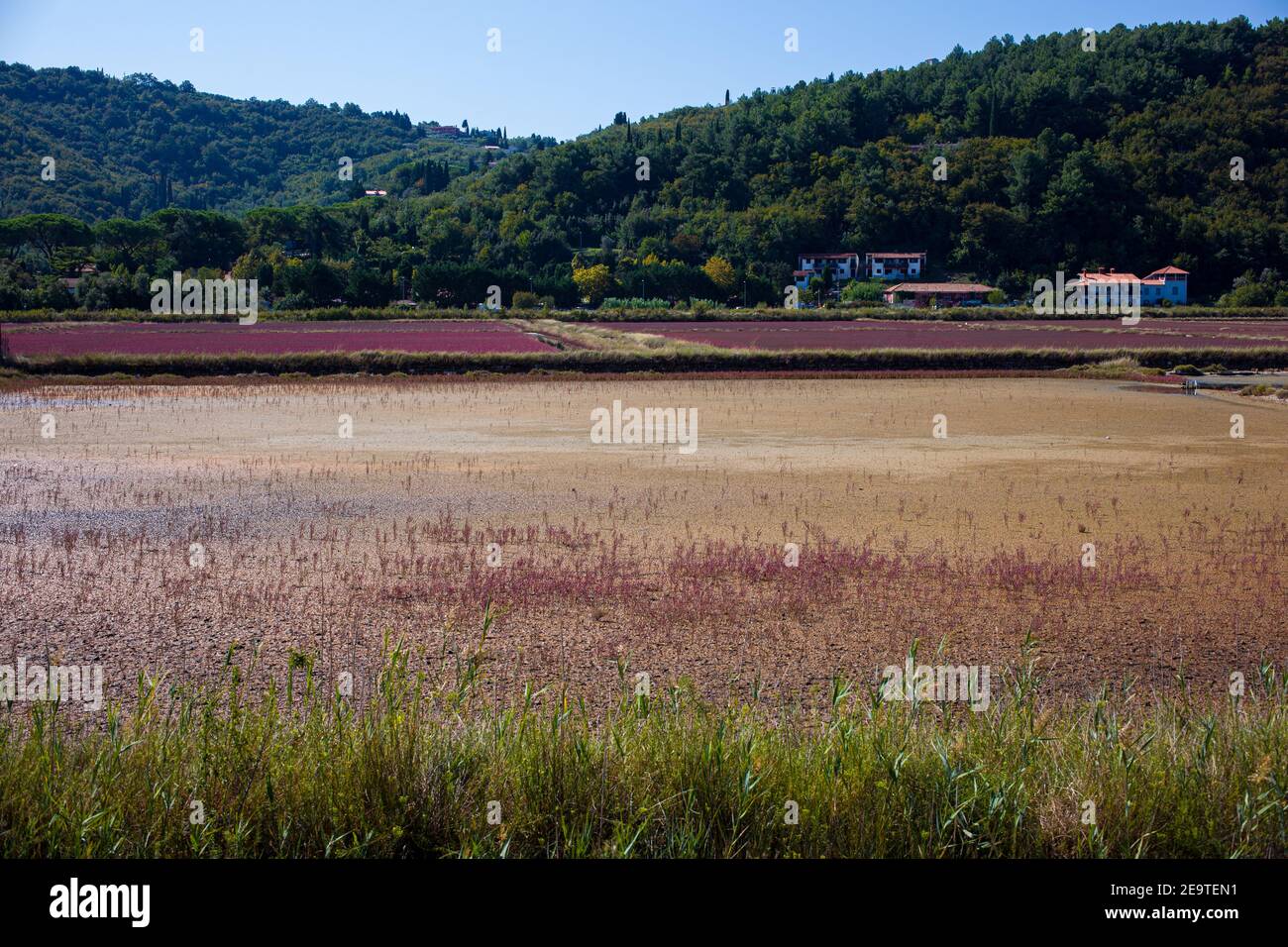 View of the Strunjan nature park in Slovenia Stock Photo - Alamy