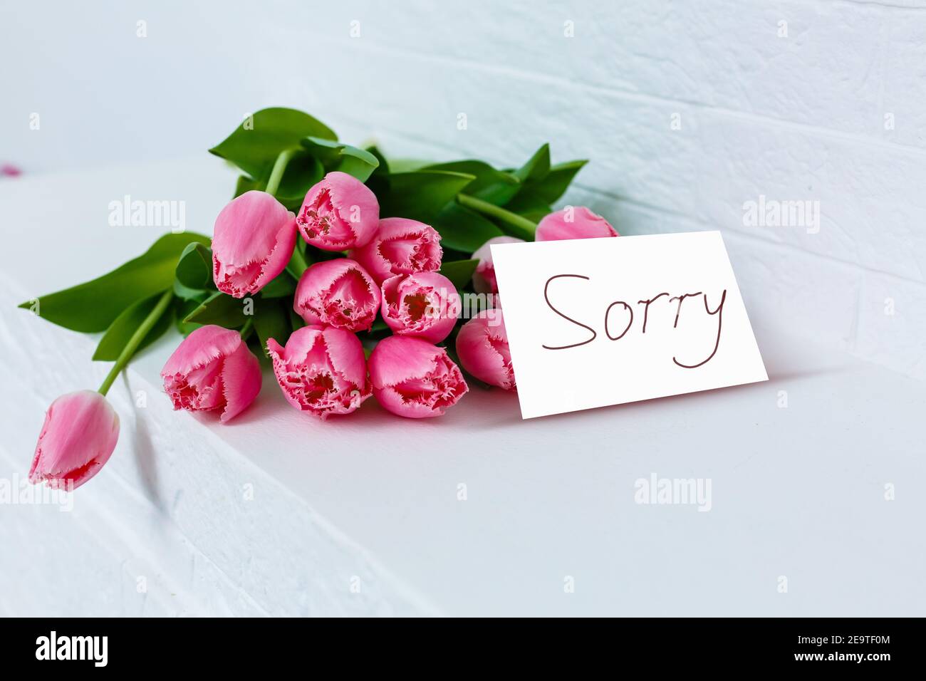 Sorry concepts hi-res stock photography and images - Alamy