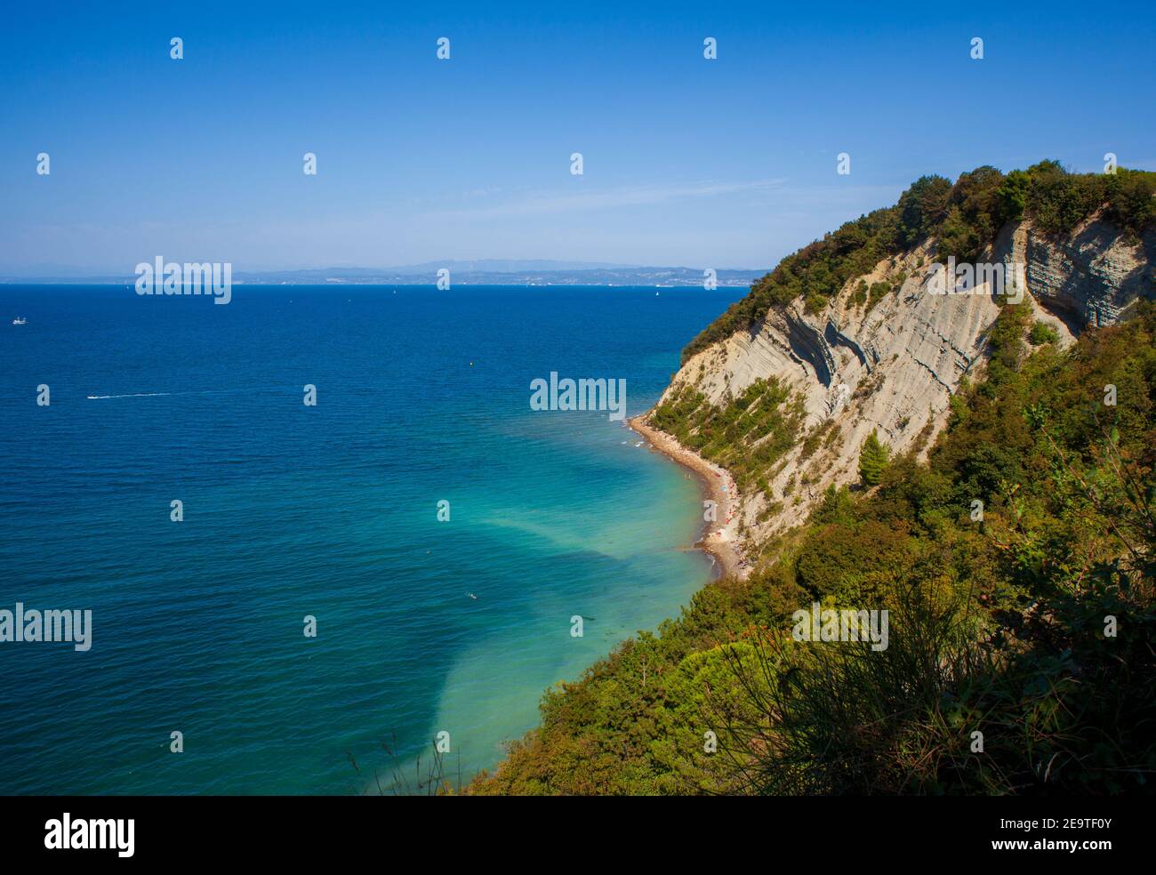 View of the Strunjan cliff on the Coast line of Slovenia Stock Photo ...