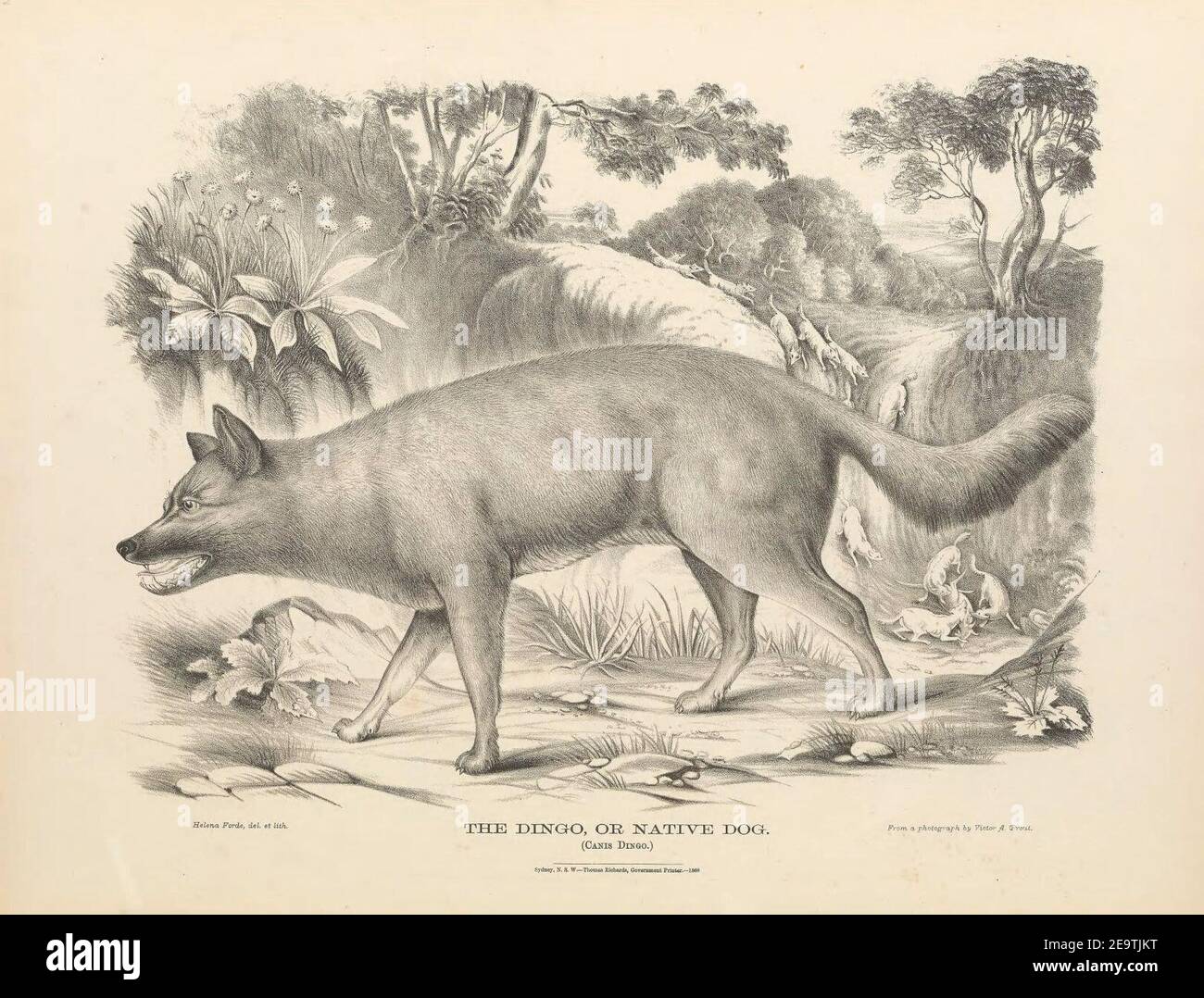 N19 hi-res stock photography and images - Alamy