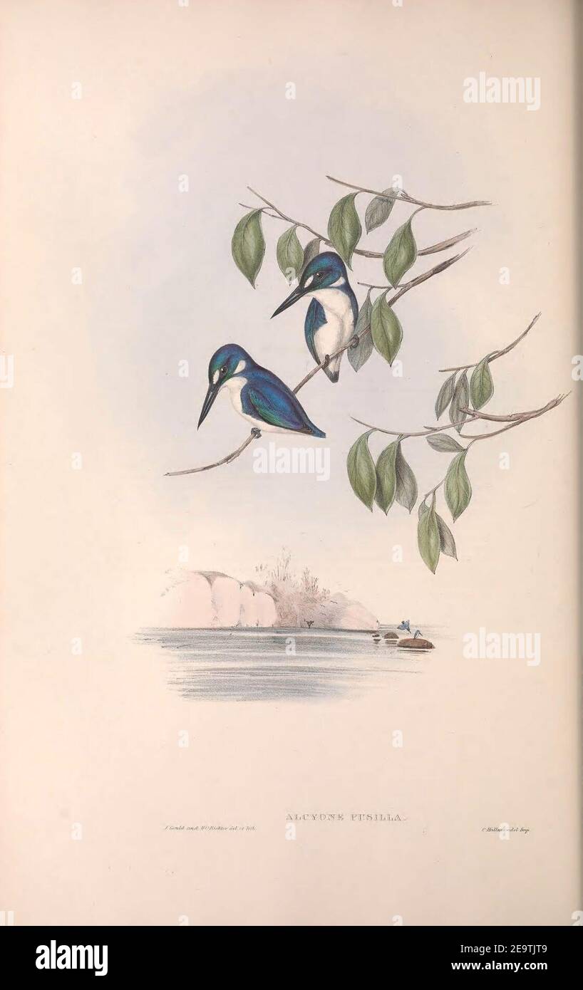 N111 hi-res stock photography and images - Alamy