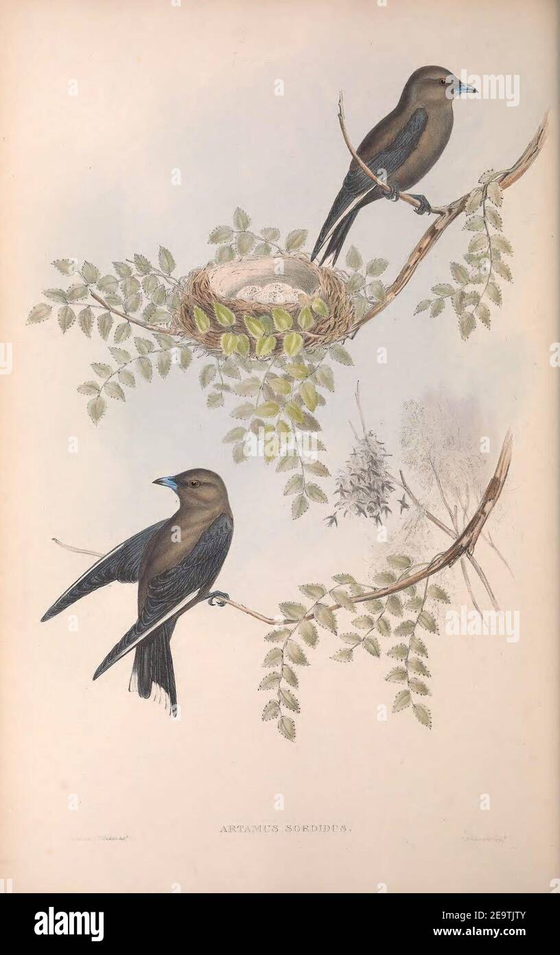 N115 hi-res stock photography and images - Alamy