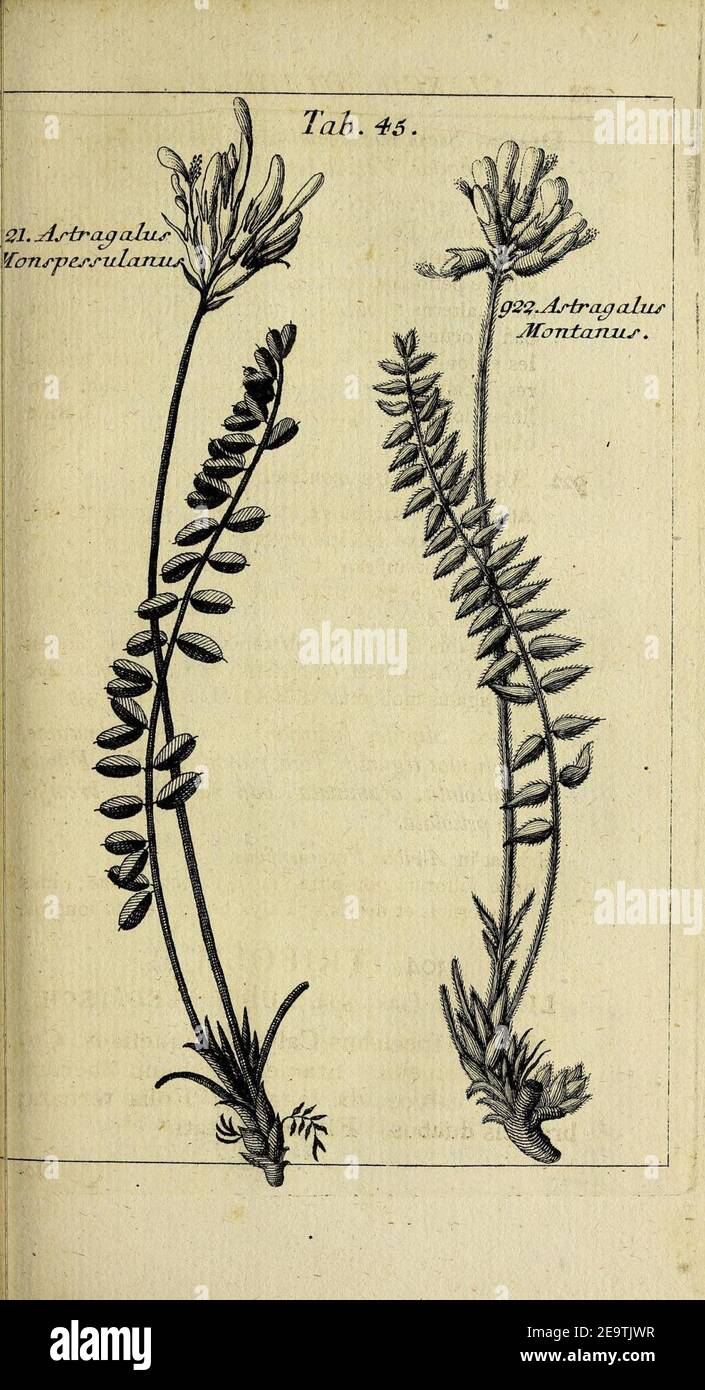 N°112 hi-res stock photography and images - Alamy