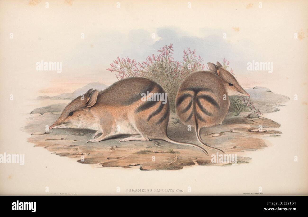 N85 hi-res stock photography and images - Alamy