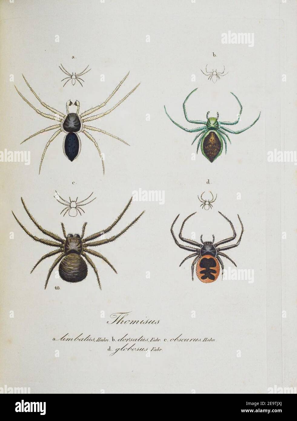 N104 hi-res stock photography and images - Alamy