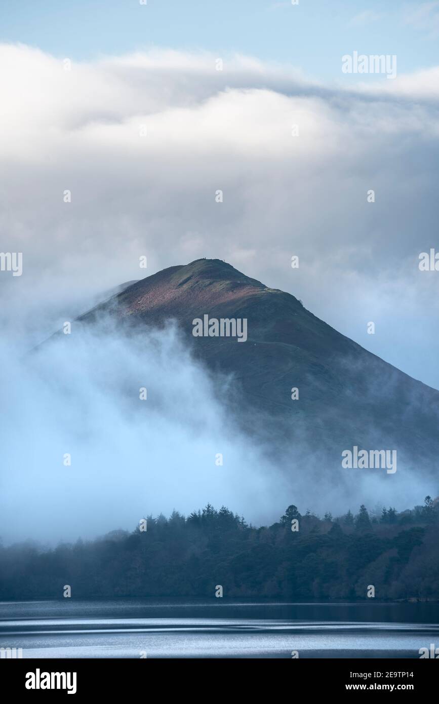 Fog rolling through trees hi-res stock photography and images - Alamy