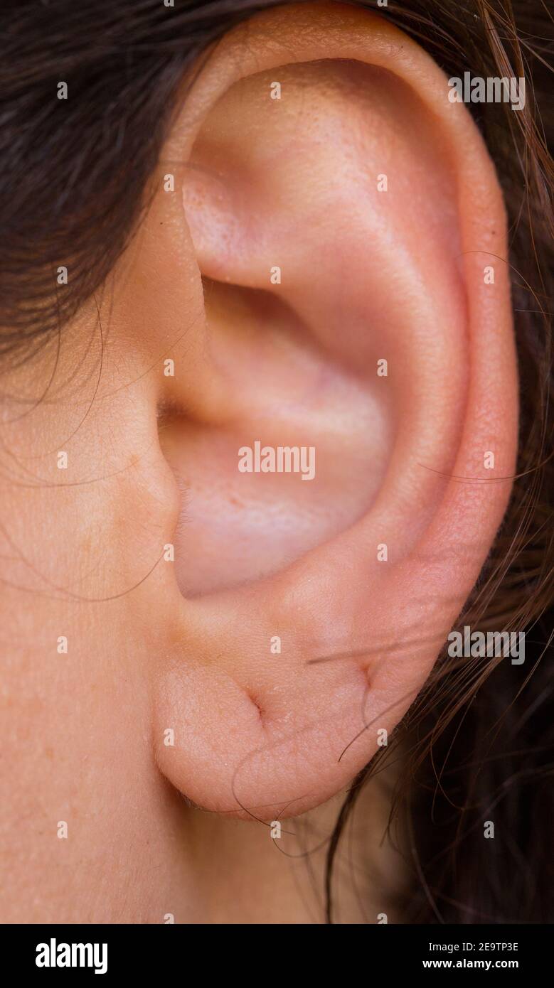 Ear pierced hi-res stock photography and images - Alamy