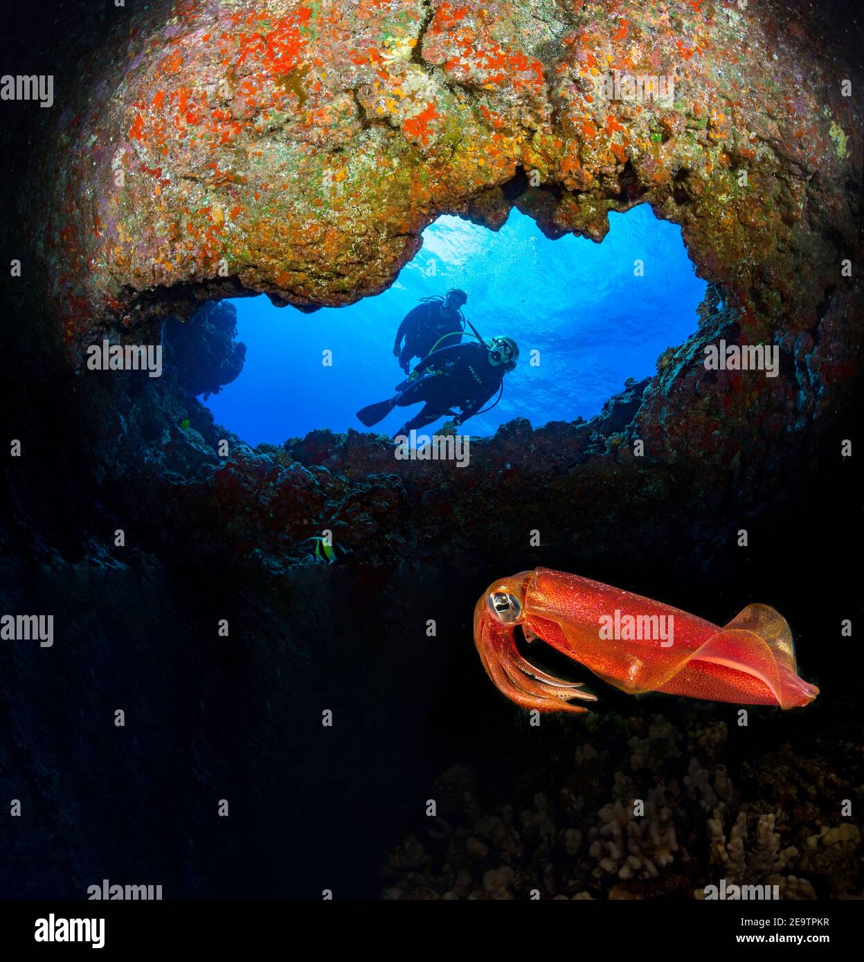 Oval skylight hi-res stock photography and images - Alamy