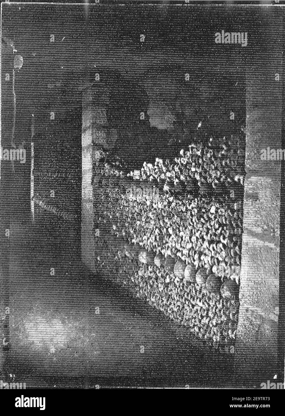 Nadar - Catacombes de Paris - NPS 43 Stock Photo - Alamy