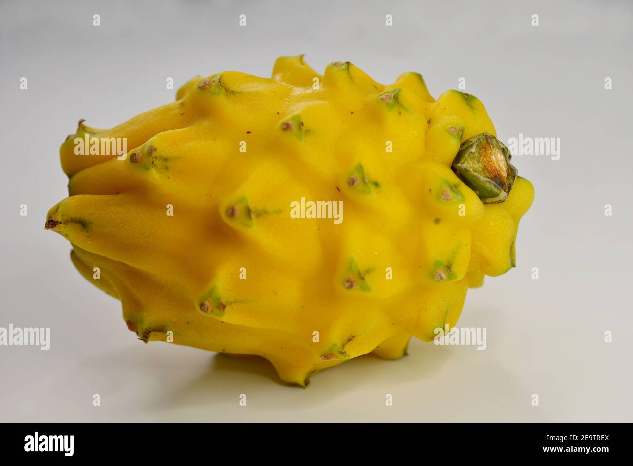 Pitaya amarilla hi-res stock photography and images - Alamy