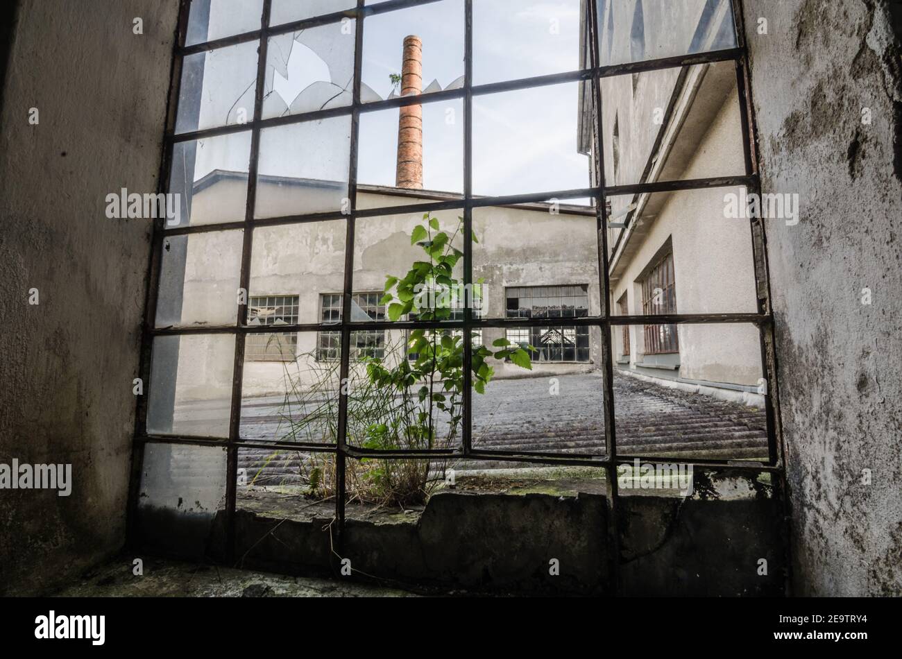view through window in old abandoned factory Stock Photo - Alamy