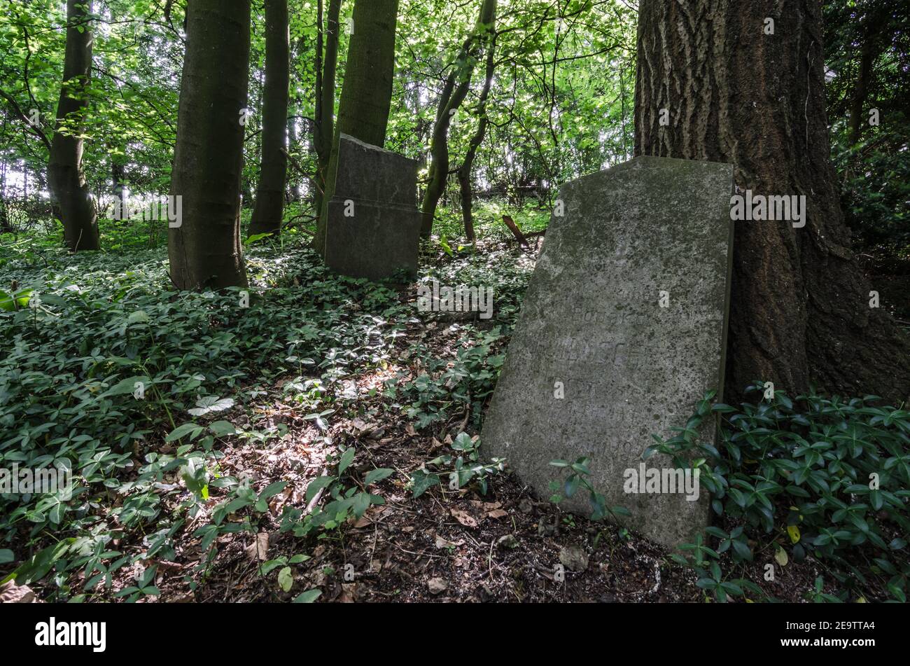 two abandoned tombs in the forest Stock Photo - Alamy