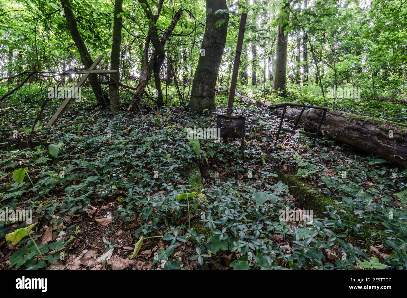 old tombs in forest and nature Stock Photo - Alamy