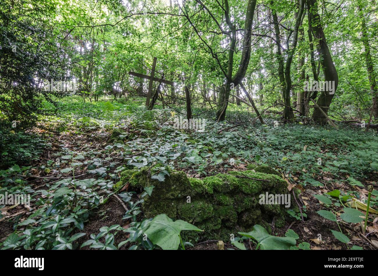 old abandoned tombs in forest Stock Photo - Alamy