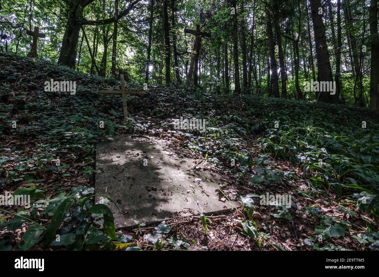 old gravesite on forest cemetery Stock Photo - Alamy