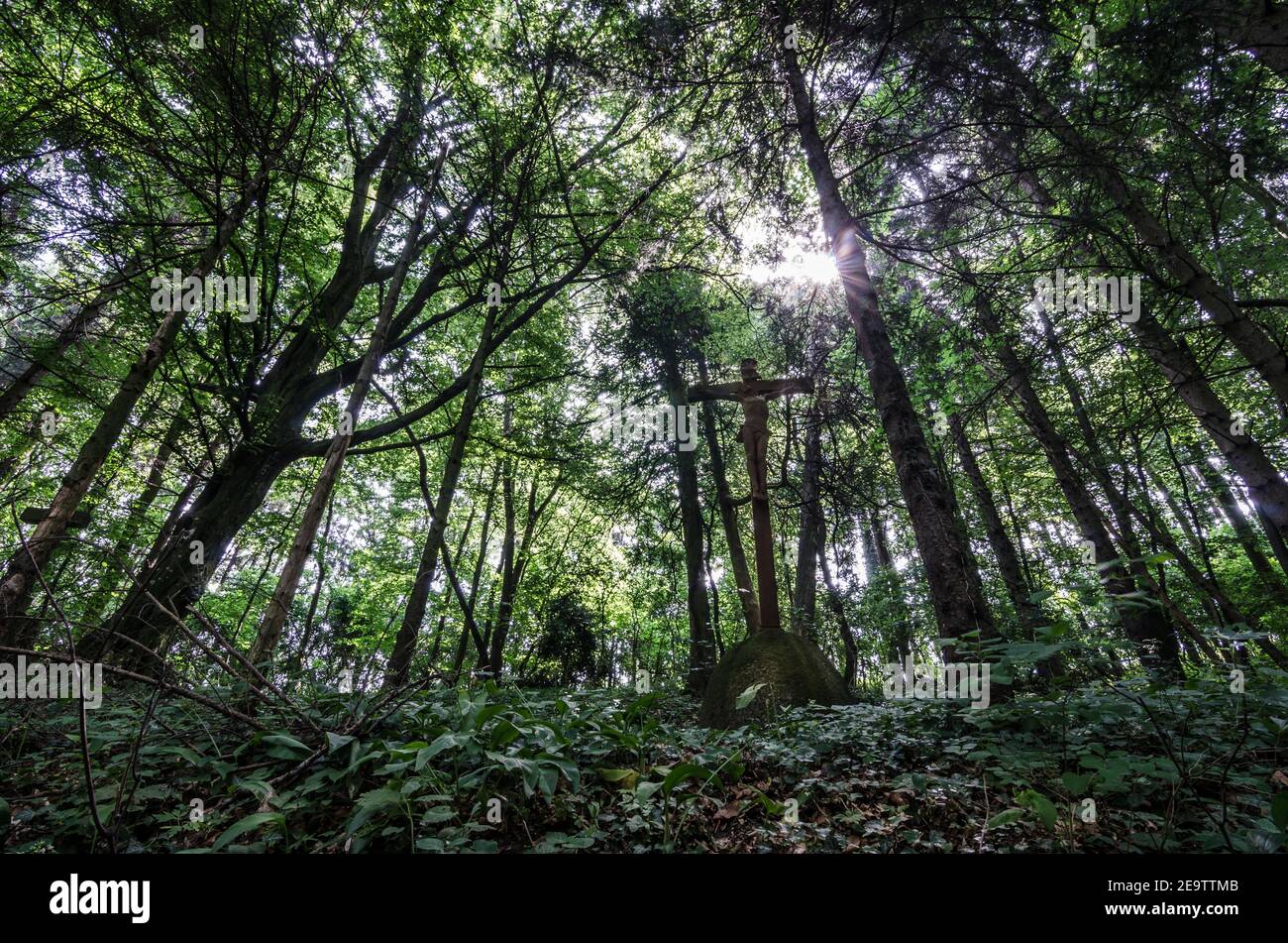 large cross at cemetery in forest Stock Photo - Alamy